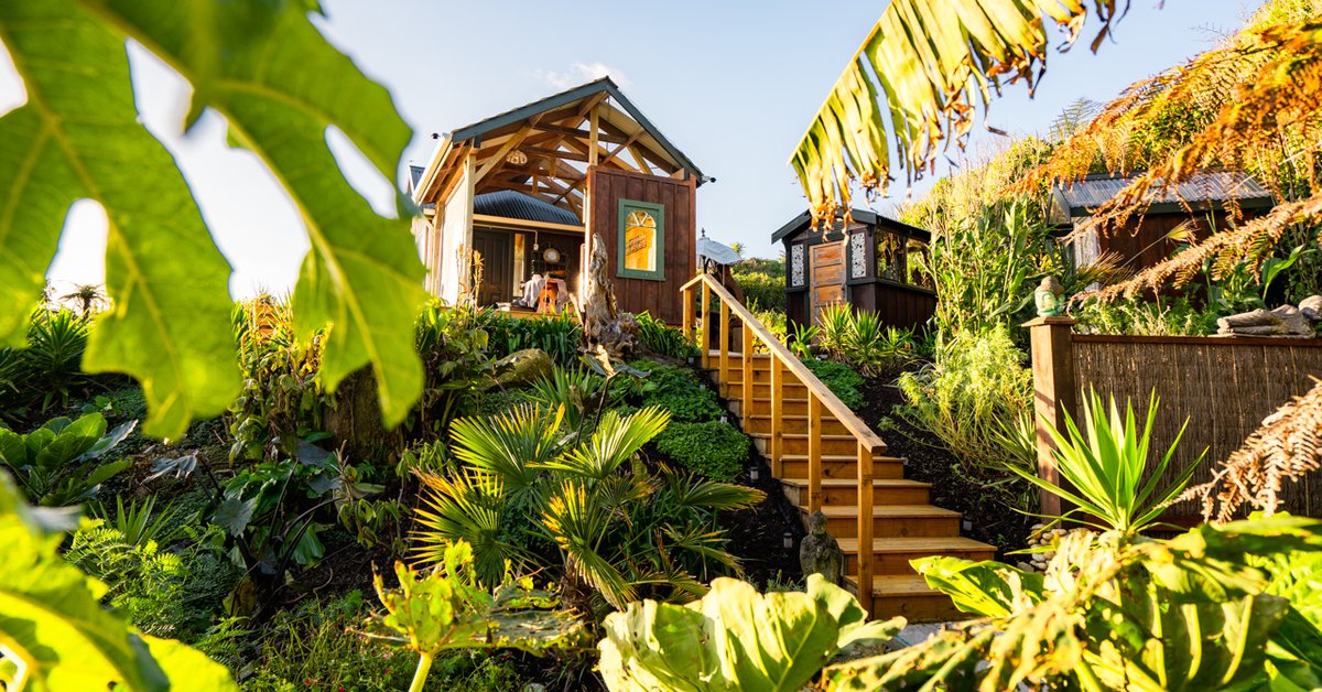 Indo Kiwi, Fox River | West Coast NZ