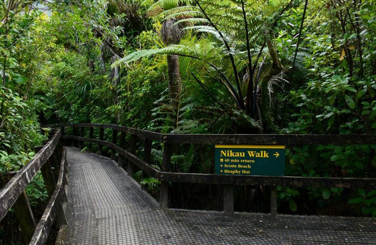 A do-nothing break on the West Coast | West Coast NZ