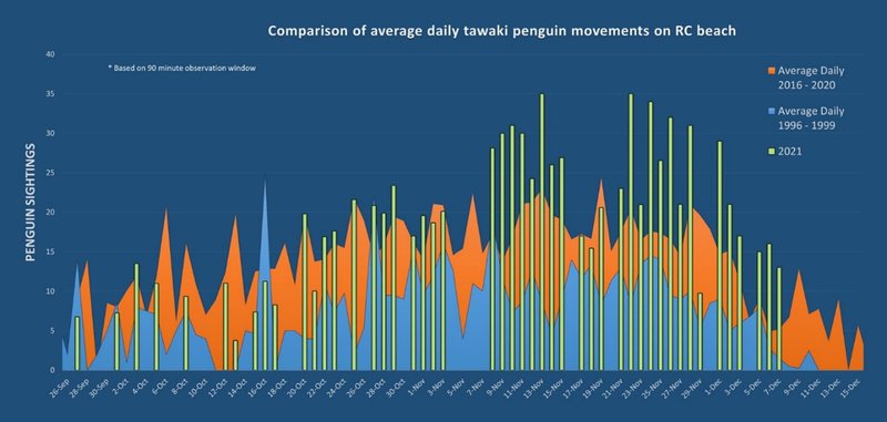 Tawaki penguin are back | West Coast NZ